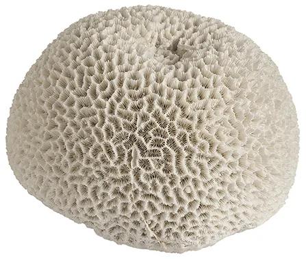 umělý korál