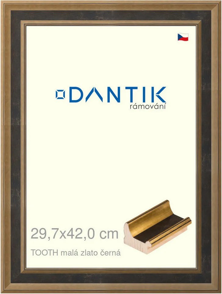 DANTIK rámeček 29,7x42 | TOOTH malá zlato černá (Plexi Čiré)