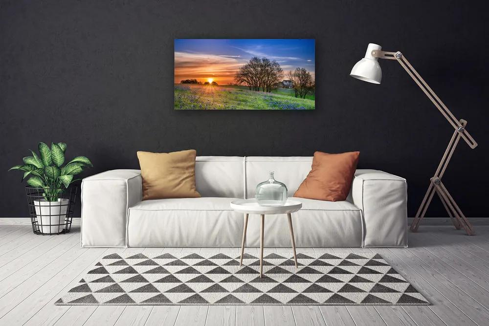 Obraz na plátně Louka Slunce Krajina 120x60 cm