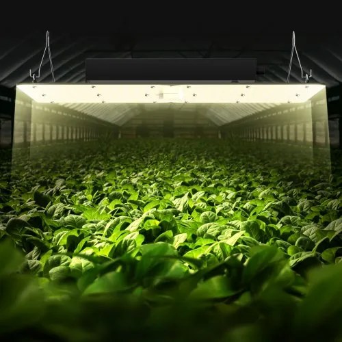 LED pěstební světlo, 300 W celospektrální stmívatelné