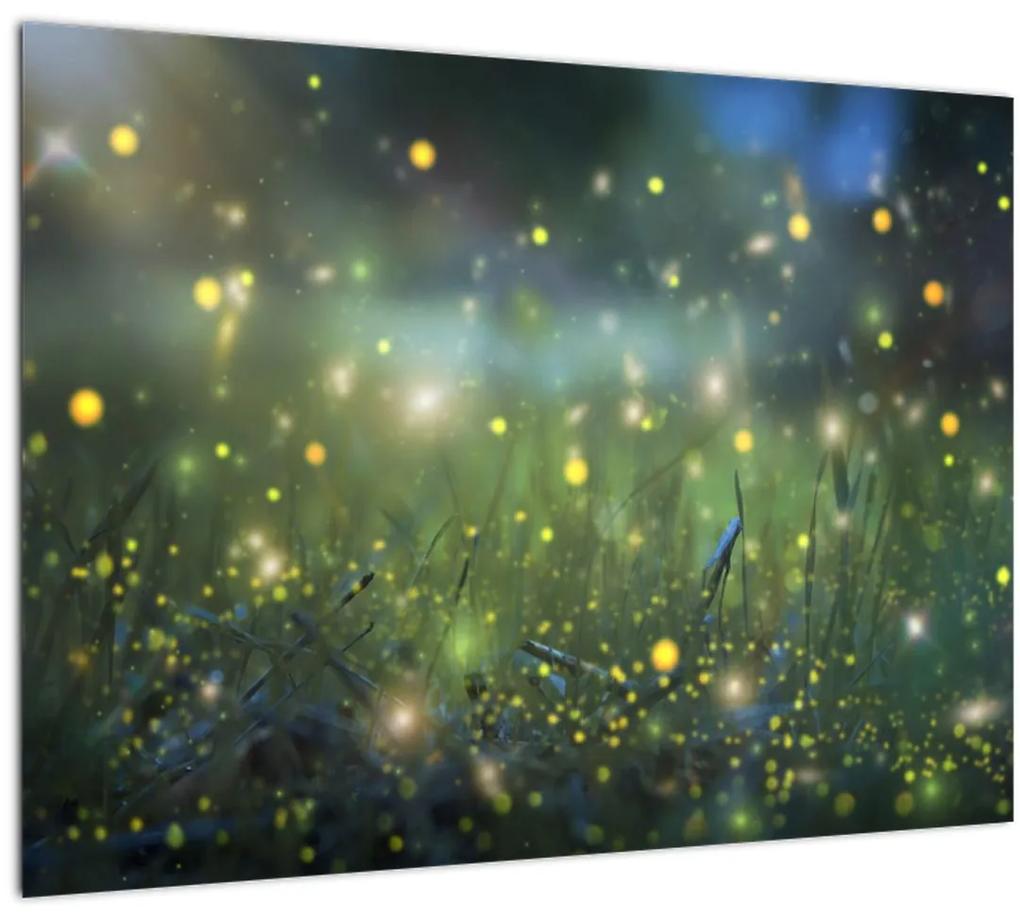 Skleněný obraz - Kouzelná noc (70x50 cm)