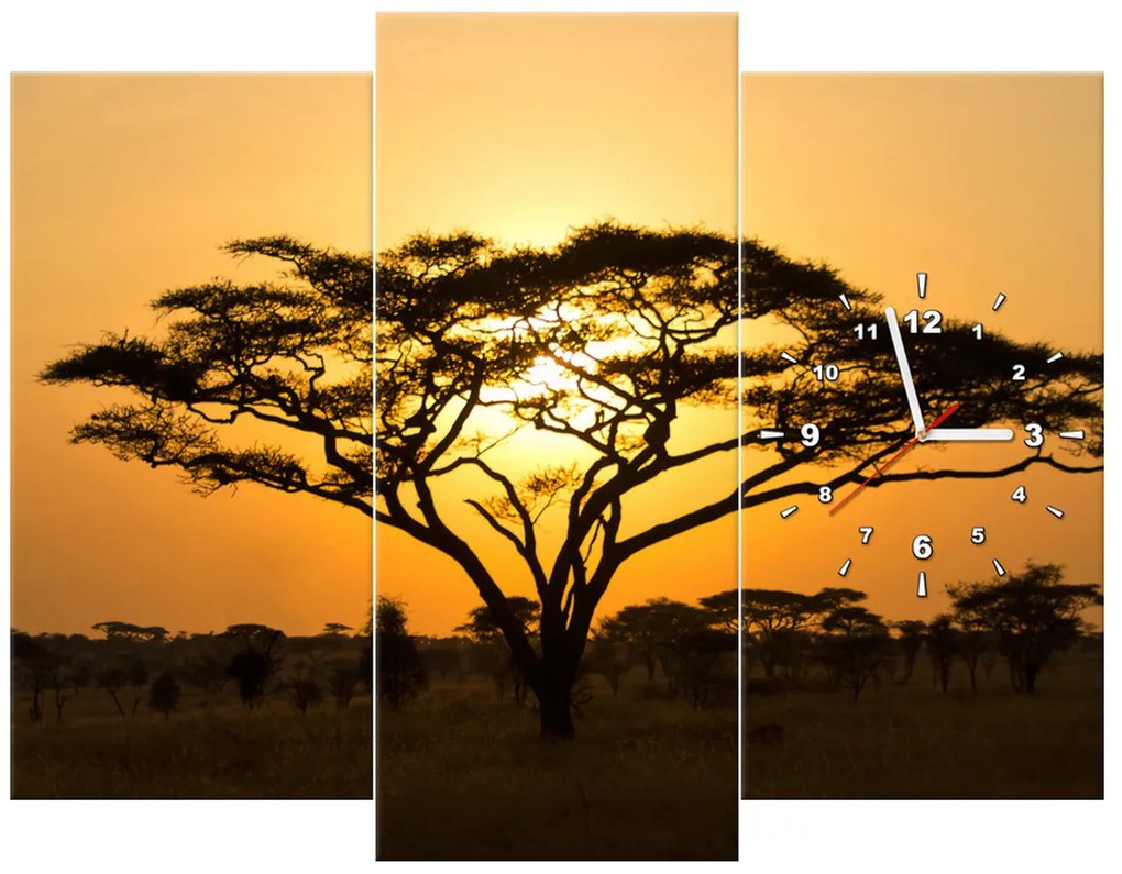 Gario Obraz s hodinami Akácie v Serengeti - 3 dílný Rozměry: 80 x 40 cm
