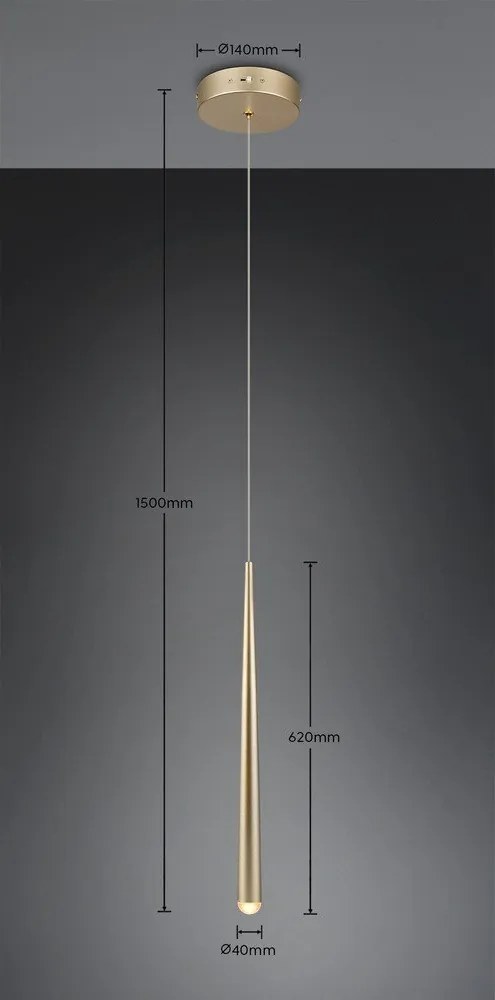 LED závěsné svítidlo ve zlaté barvě ø 14 cm Cala – Trio Select