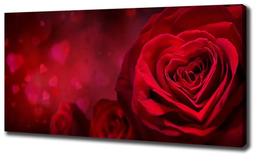 Wallmuralia Foto obraz na plátně Červená růže srdce 140x70 cm