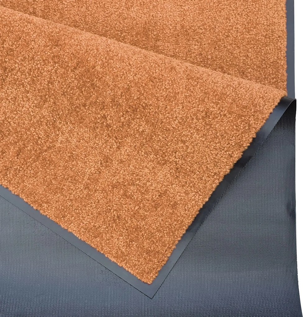 Hanse Home, Rohožka Wash & Clean 101469 Orange, 60x90, oranžová, chodba / předsíň