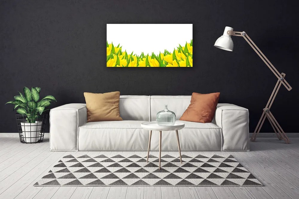 Obraz na plátně Květiny Příroda Tulipány 125x50 cm