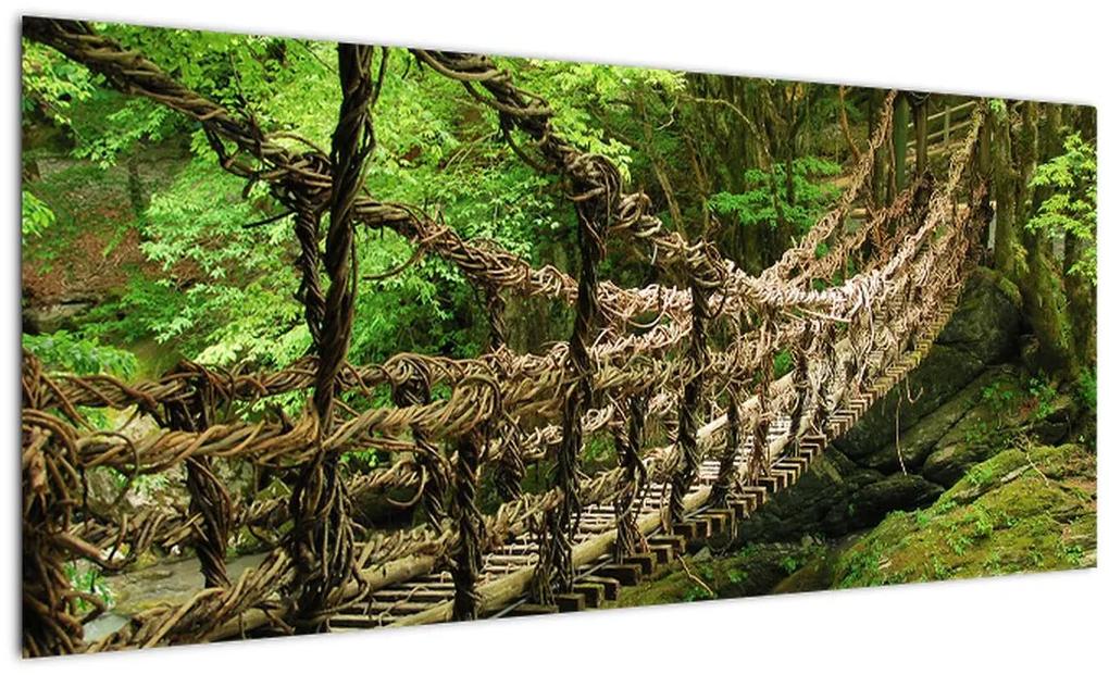 Obraz - most v přírodě (100x40cm)
