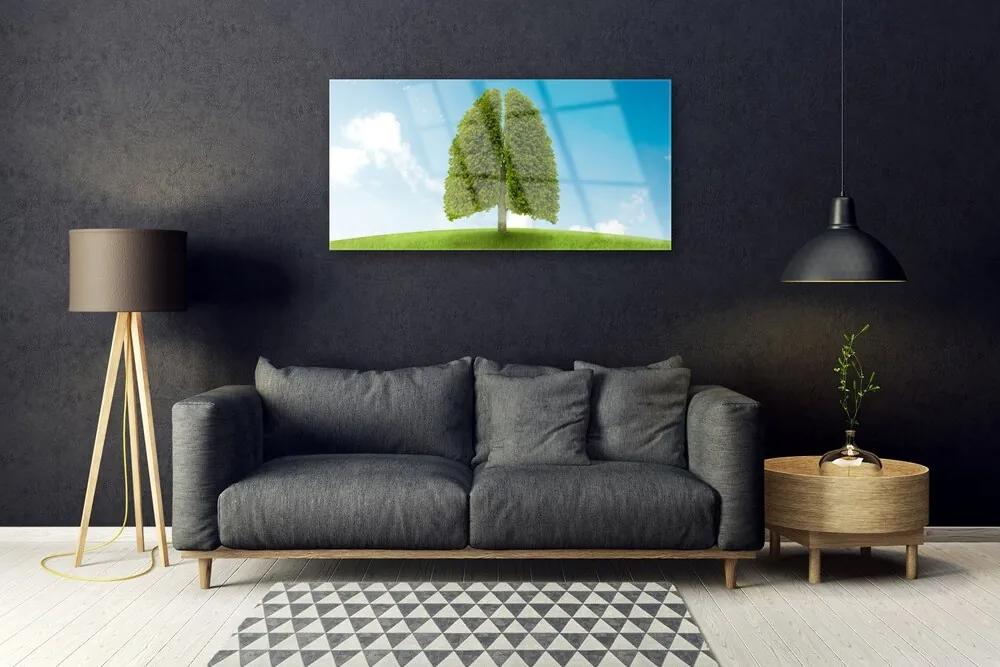 Obraz na skle Tráva Strom Plíce Příroda 140x70 cm