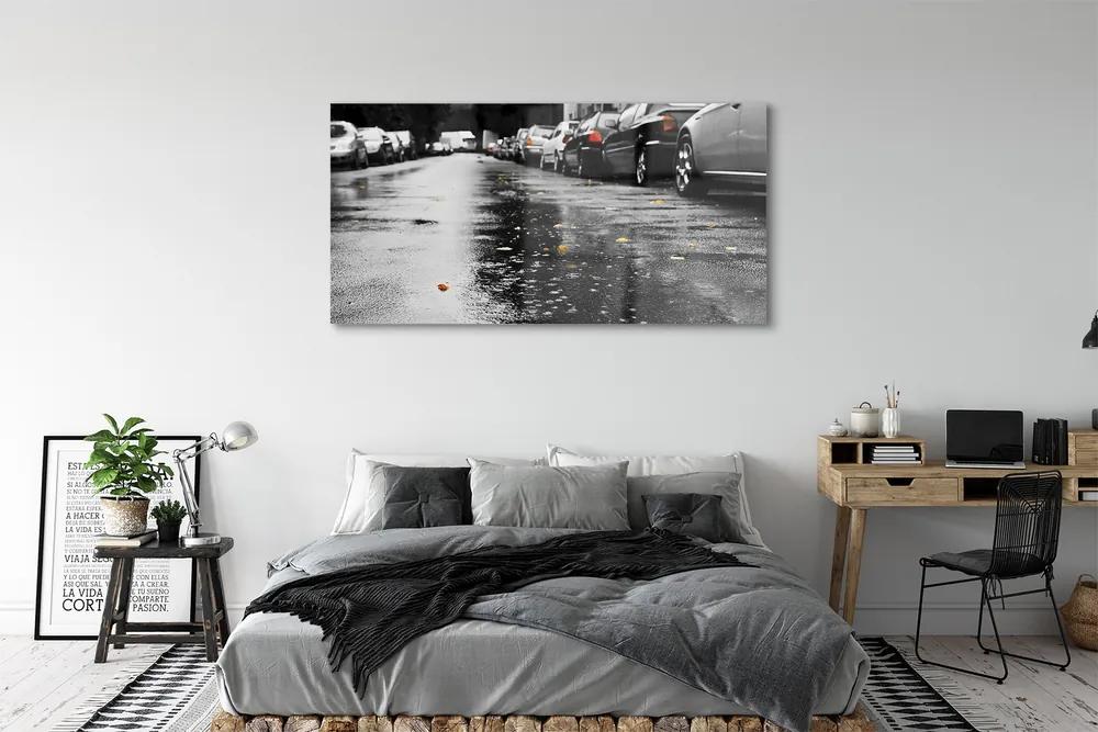akrylový obraz Car podzimní listí silnice 140x70 cm