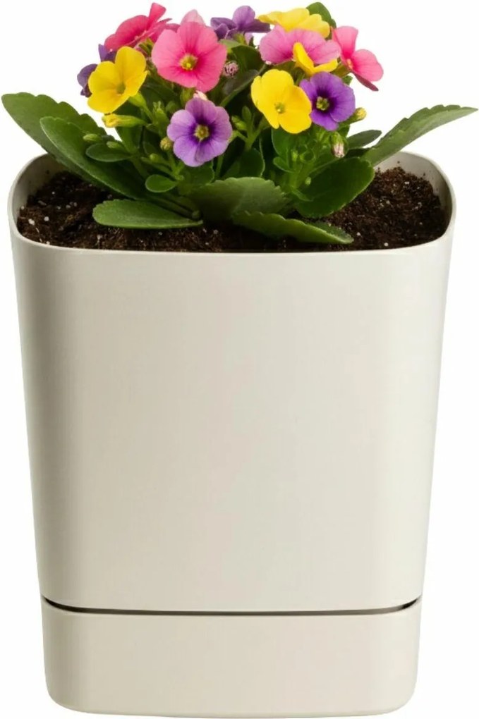 Plastový květináč s podmiskou Cubi 16x16 cm - výběr z 6 provedení