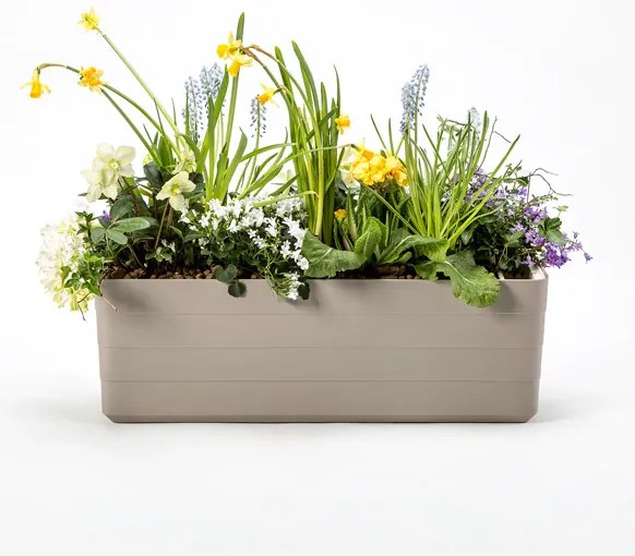 Samozavlažovací truhlík Berberis taupe/slonová kost 60 cm