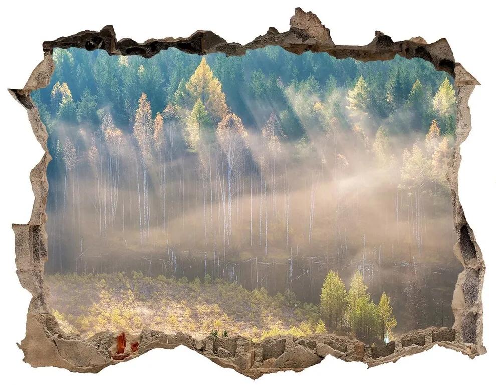 Wallmuralia Fototapeta díra na zeď Mlha v lese 95x64 cm