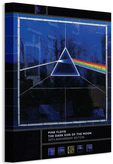 Obraz na plátně Pink Floyd The Dark Side Of The Moon, 30th Anniversary 30x40cm WDC92058