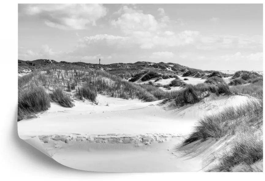 Fototapeta Dune Paradise V Černé A Bílé Omyvatelný vlies 254x184