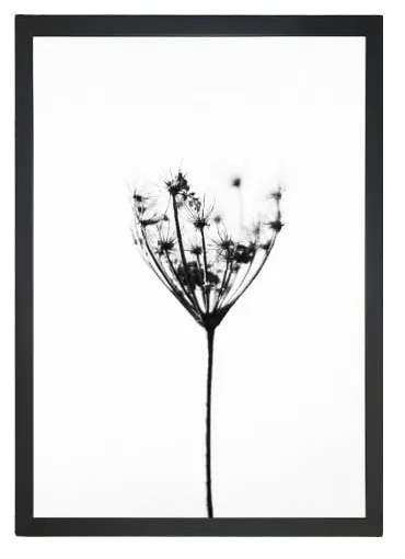 Obraz Tablo Center Misty Splender, 24 x 29 cm