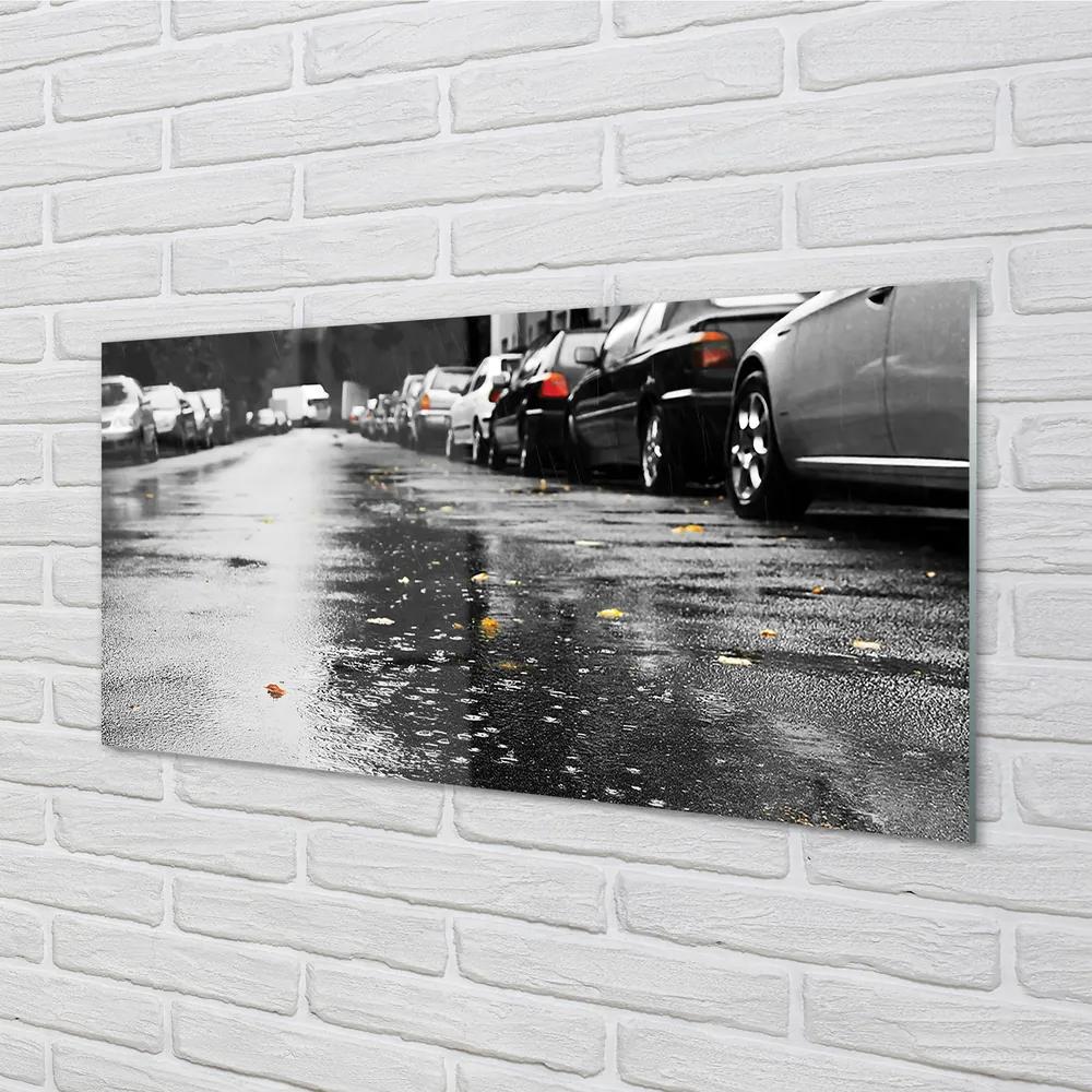 akrylový obraz Car podzimní listí silnice 100x50 cm