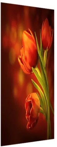 Samolepící fólie na dveře Tajemné červené tulipány 95x205cm ND3381A_1GV
