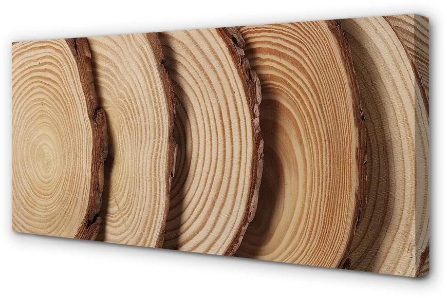 Obrazy na plátně plátky obilí dřeva 125x50cm