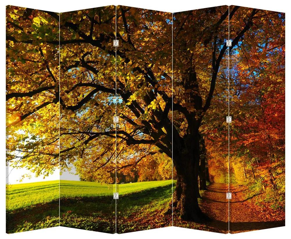 Paraván - Podzimní strom (210x170 cm)