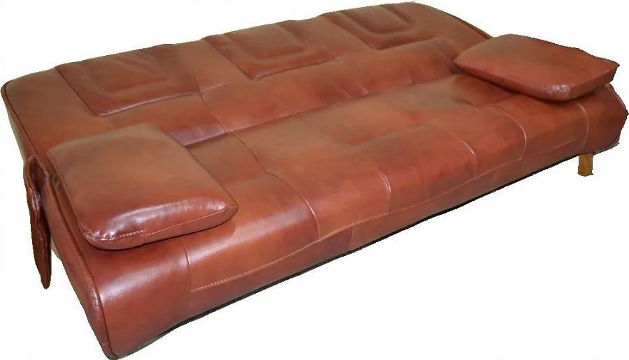 Casarredo - Komfort nábytek Rozkládací sedací souprava ERIKA 3+1 s úložným prostorem, kůže | potah: Kůže S-41,Vyberte si moření dřeva:: moření olše