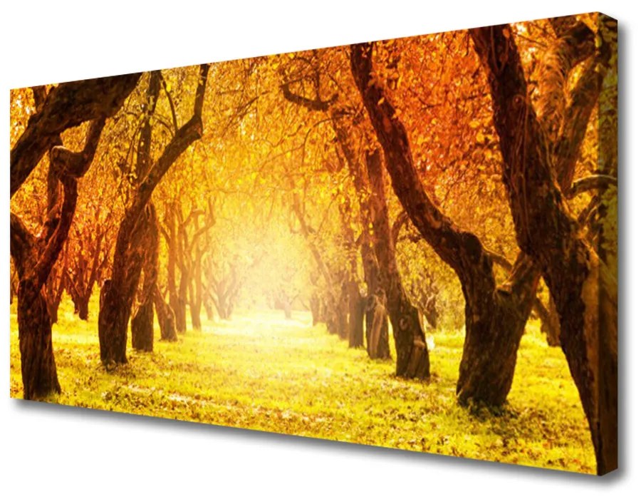 Obraz na plátně Les Stezka Stromy Příroda 140x70 cm