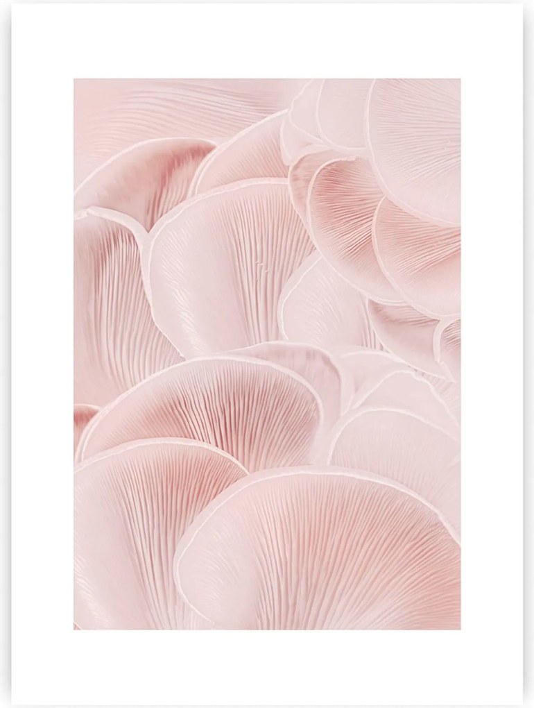 Plakát Pastel Pink I