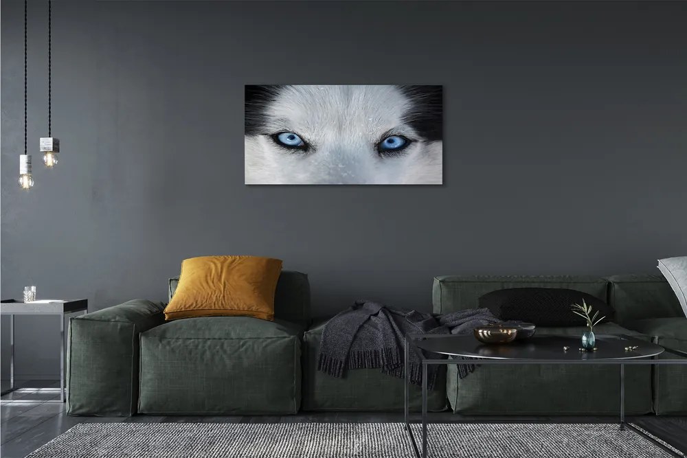 Obrazy na plátně wolf Eyes 140x70 cm