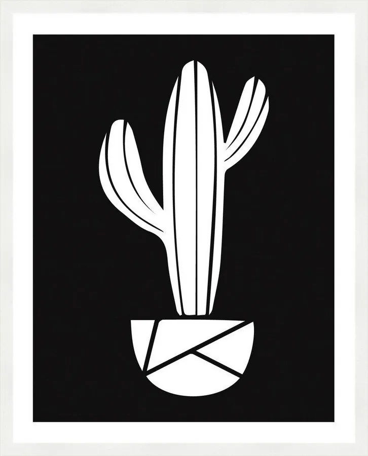 Rámovaný obraz - Kaktus (černobílý)
