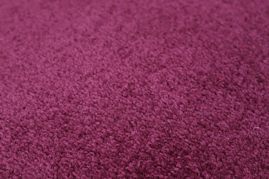 Vopi koberce Kusový koberec Eton fialový ovál - 120x160 cm