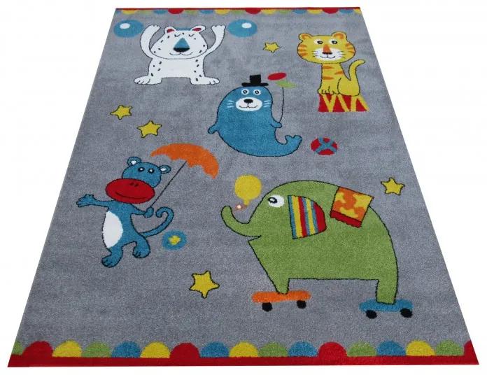 Dětský koberec Cirkus - 120 x 170 cm