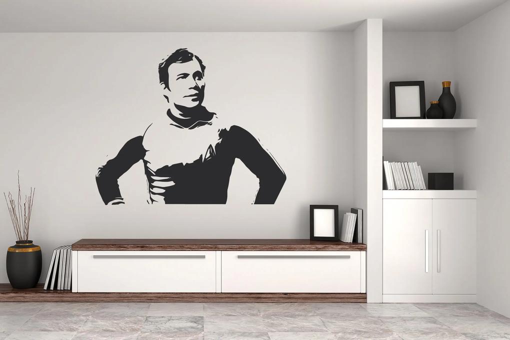 Lepy.cz Samolepka na zeď Star Trek - Kapitán Kirk Velikost (šířka x výška): 50x41cm, Barevná varianta: Světle modrá