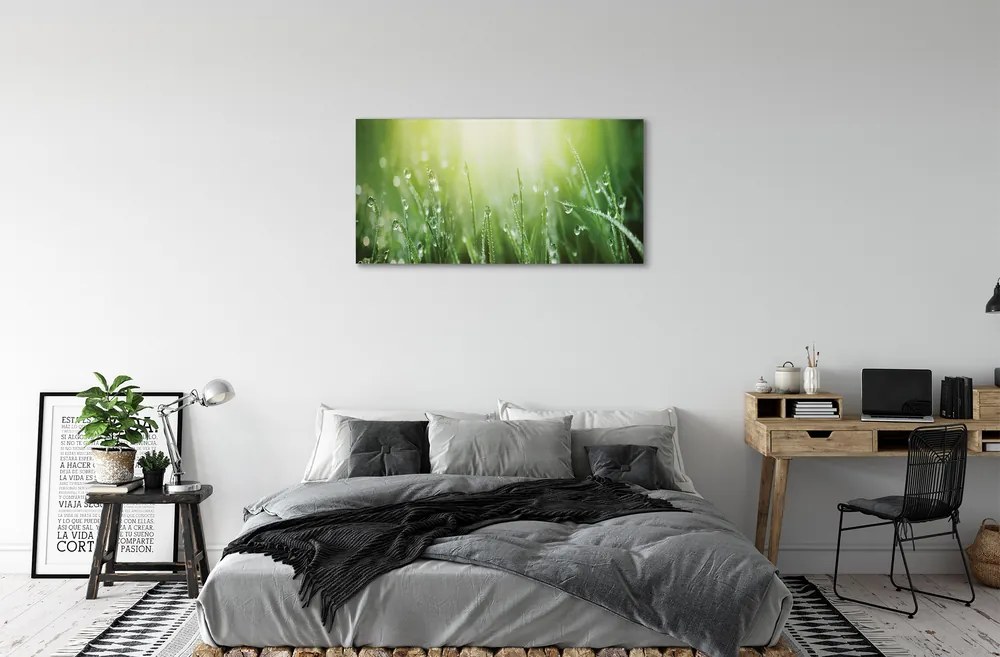 Obrazy na plátně Tráva slunce kapky 125x50 cm