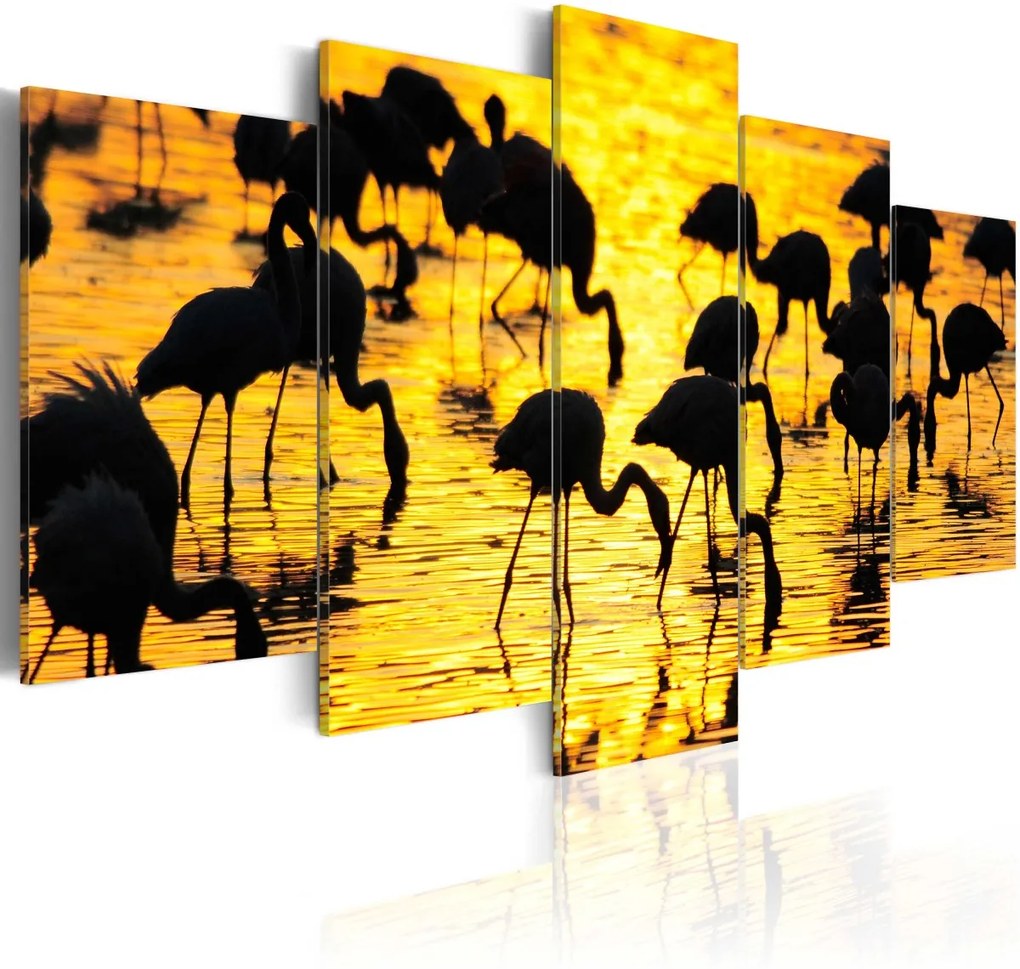 Obraz - Plameňáci na jezeře - 100x50