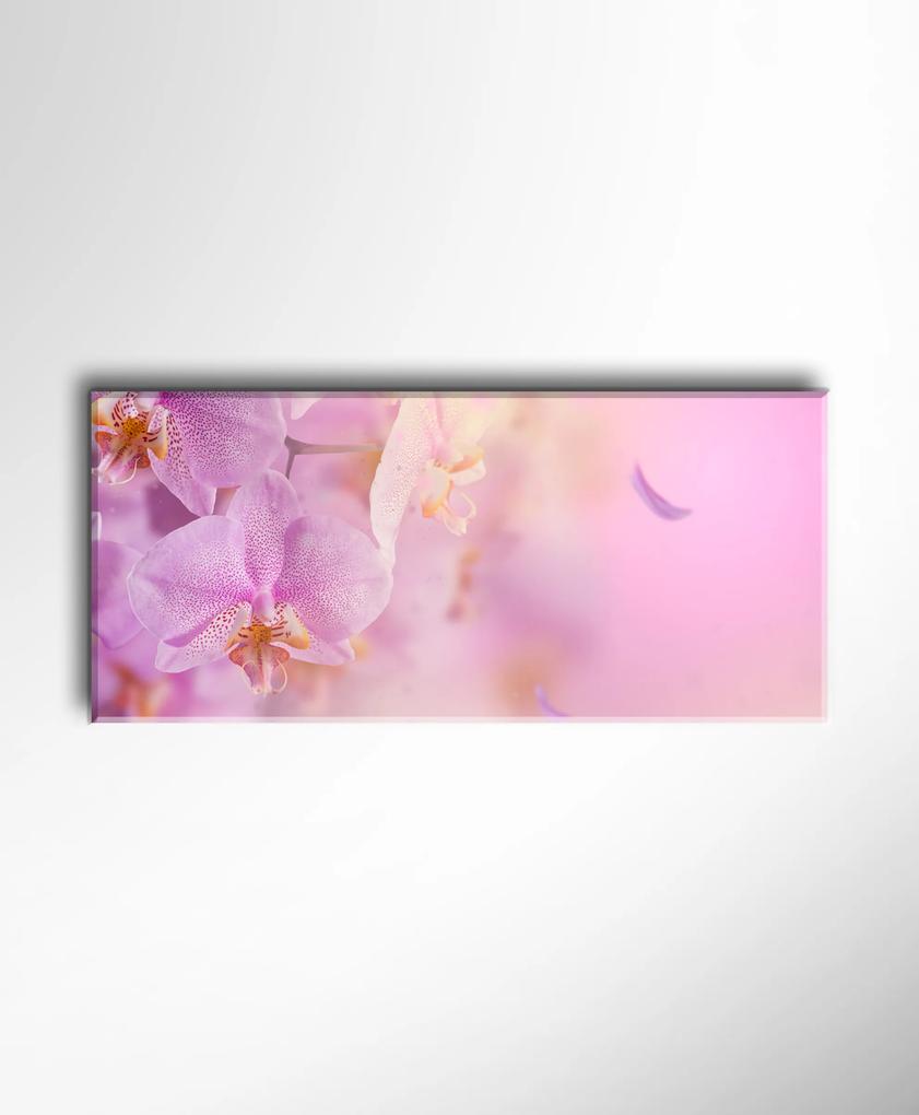 Malvis ® Obraz rozkvetlá orchidej ROZMĚR (šířka x výška): třídílný obdélník 90x60 cm