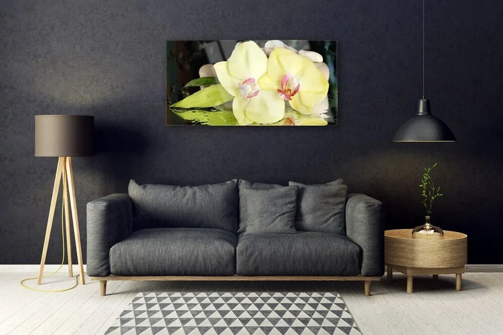 Obraz na skle Okvětní Plátky Orchidej 120x60 cm