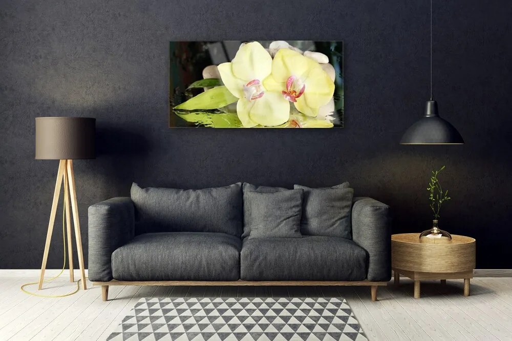 Obraz na skle Okvětní Plátky Orchidej 140x70 cm