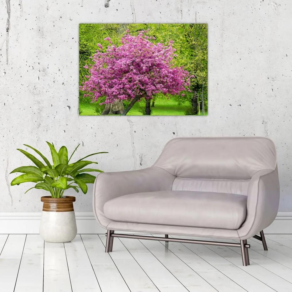 Skleněný obraz rozkvetlého stromu na louce (70x50 cm)