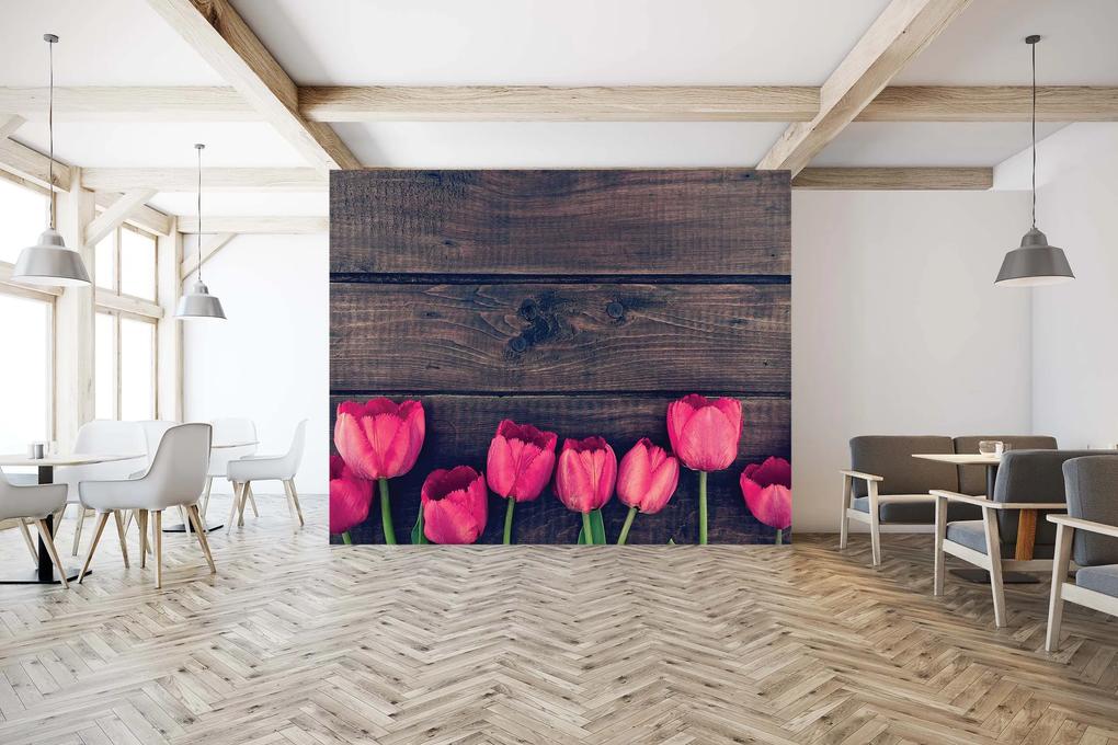 Malvis ® Tapeta Tulipány na dřevě Vel. (šířka x výška): 360 x 260 cm