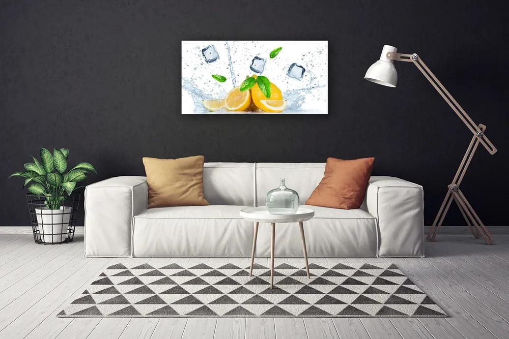 Obraz na plátně Citron Kostka Ledu Kuchyně 120x60 cm