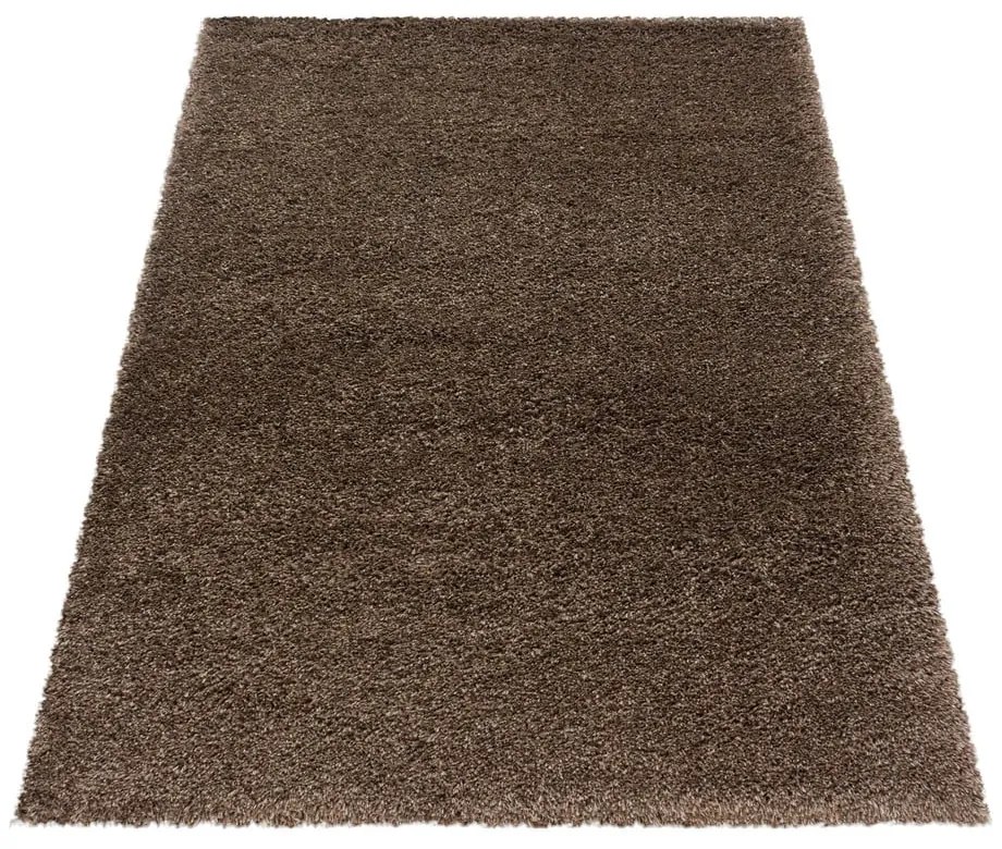 Tmavě hnědý koberec 160x230 cm Fluffy – Ayyildiz Carpets