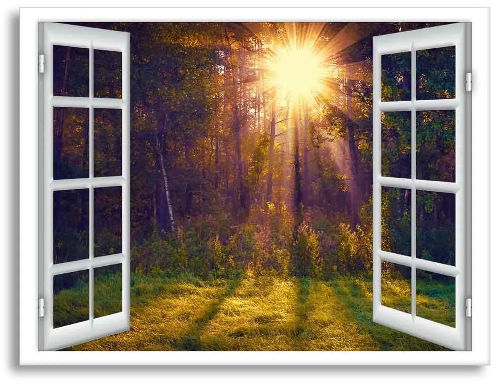 3D obraz ráno v okně Velikost (šířka x výška): 150x110 cm