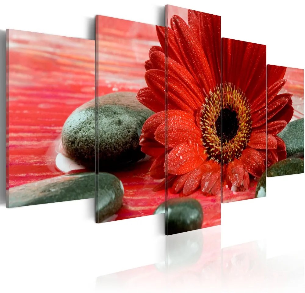 Obraz na plátně Bimago - Červená gerbera 100x50 cm