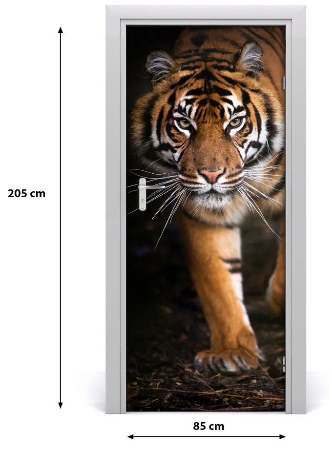 Fototapeta samolepící na dveře tygr 85x205 cm