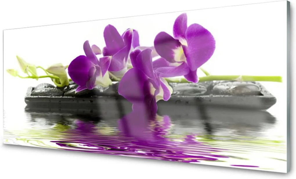 Plexisklo obraz Květiny Rostlina Příroda