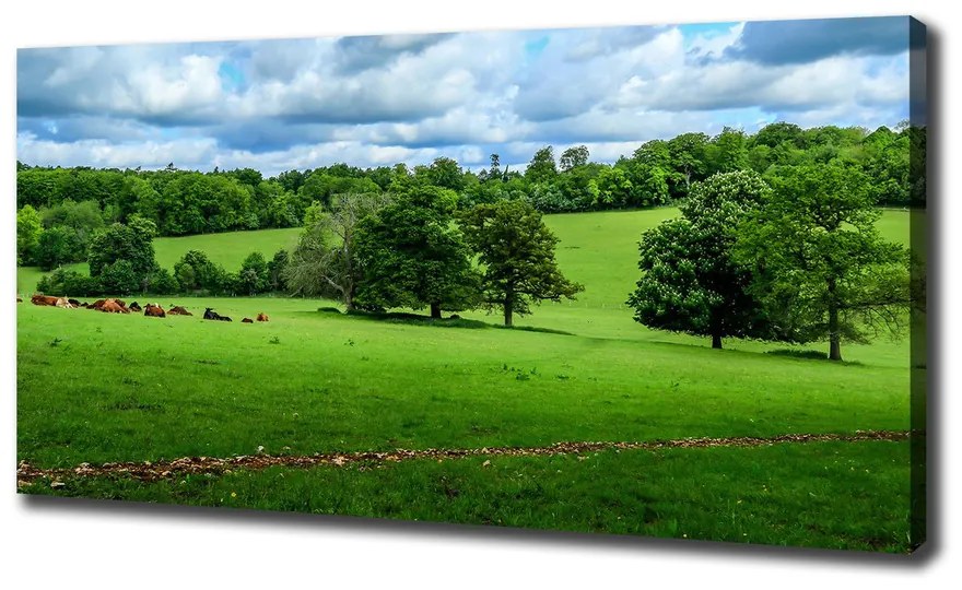 Wallmuralia Foto obraz na plátně do obýváku Zelené pahorky 140x70 cm