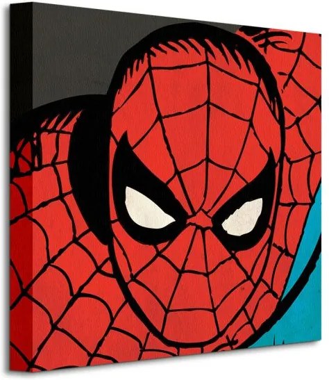 Obraz na plátně Marvel Comics (Spider Man Closeup) 40x40cm WDC95455