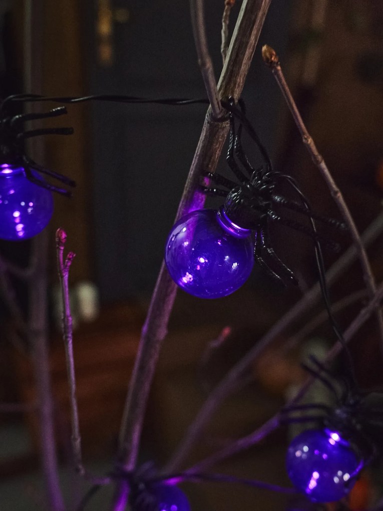 Sinsay - Halloweenská LED girlanda s motivem pavouků - černá