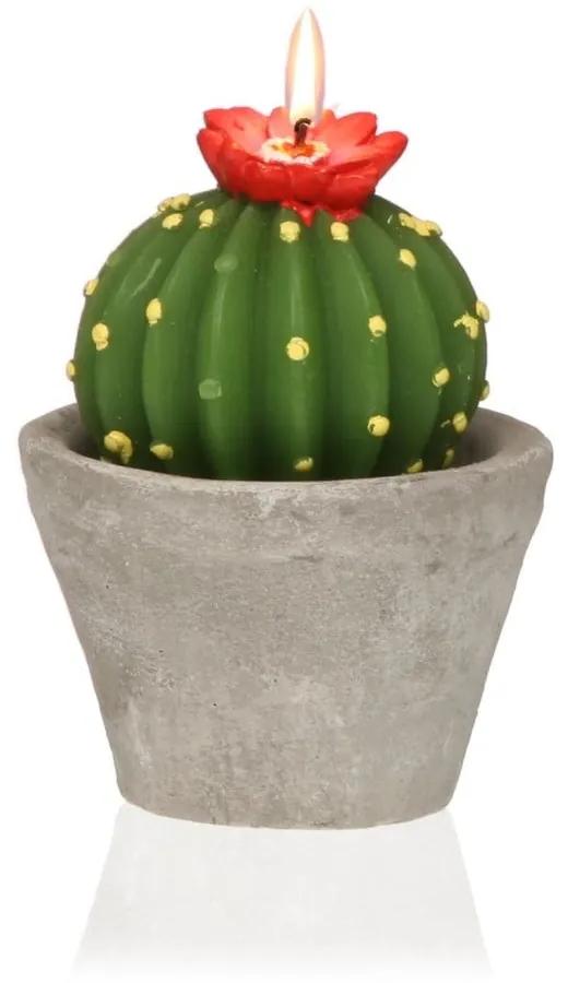 Dekorativní svíčka ve tvaru kaktusu Versa Cactus Emia | BIANO