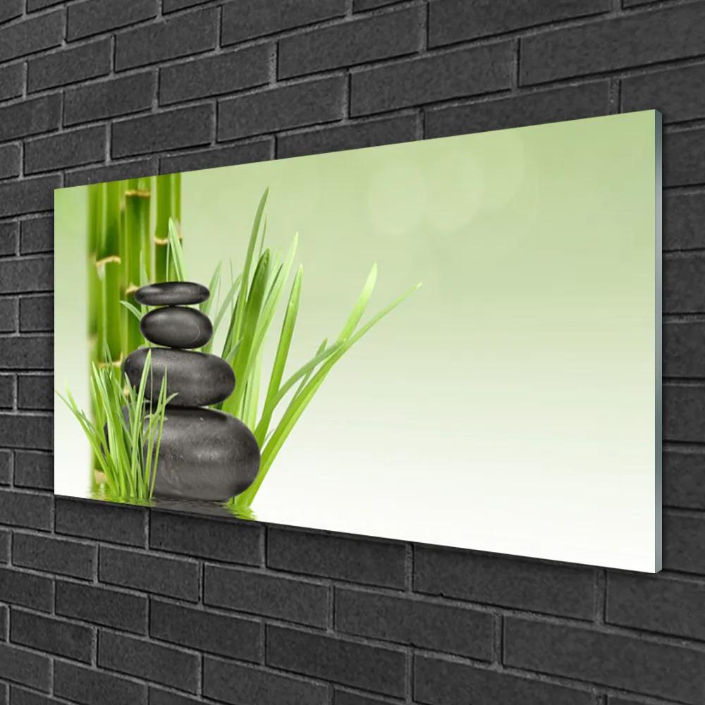 Obraz na skle Bambus Tráva Rostlina Příroda 120x60 cm