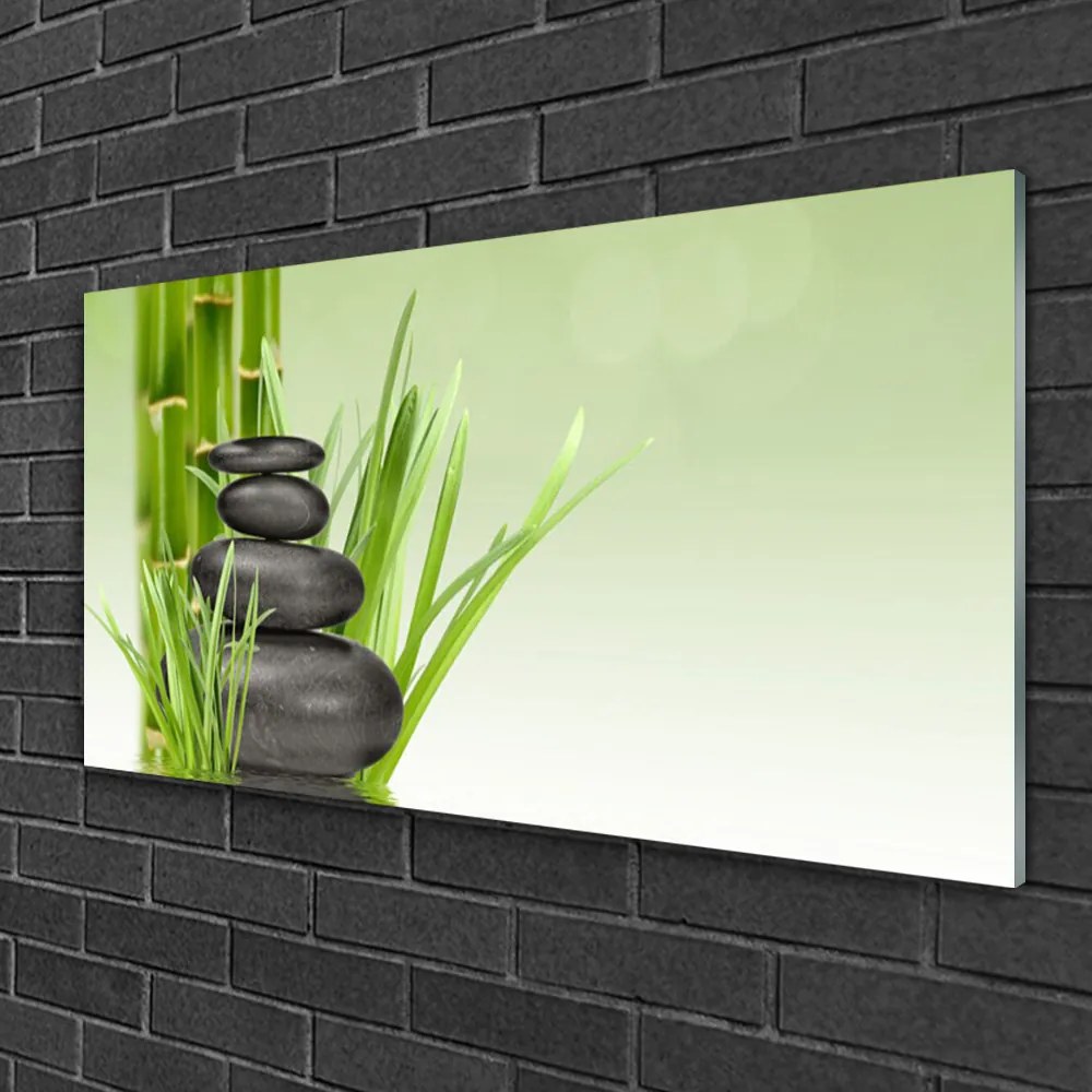 Obraz na skle Bambus Tráva Rostlina Příroda 125x50 cm
